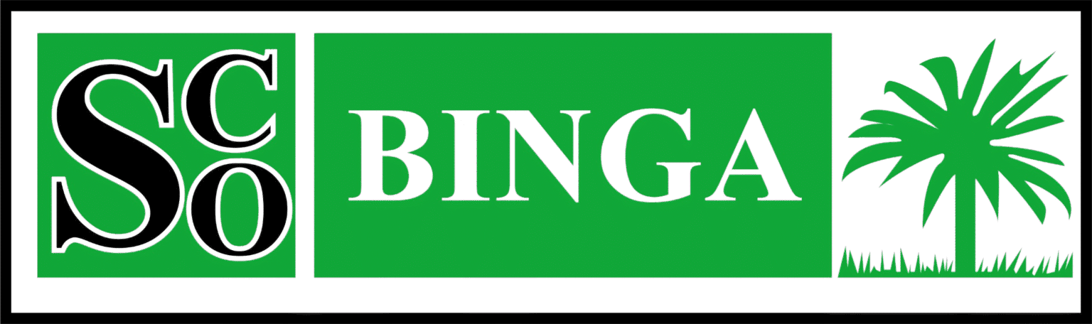 BIN (Société de Cultures de Binga) – gbesocietes